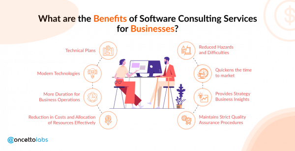 What is Software Consulting Services Work?